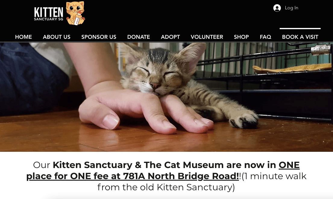 7 Best Pet Adoptions In SG For Aspiring Fur-parents