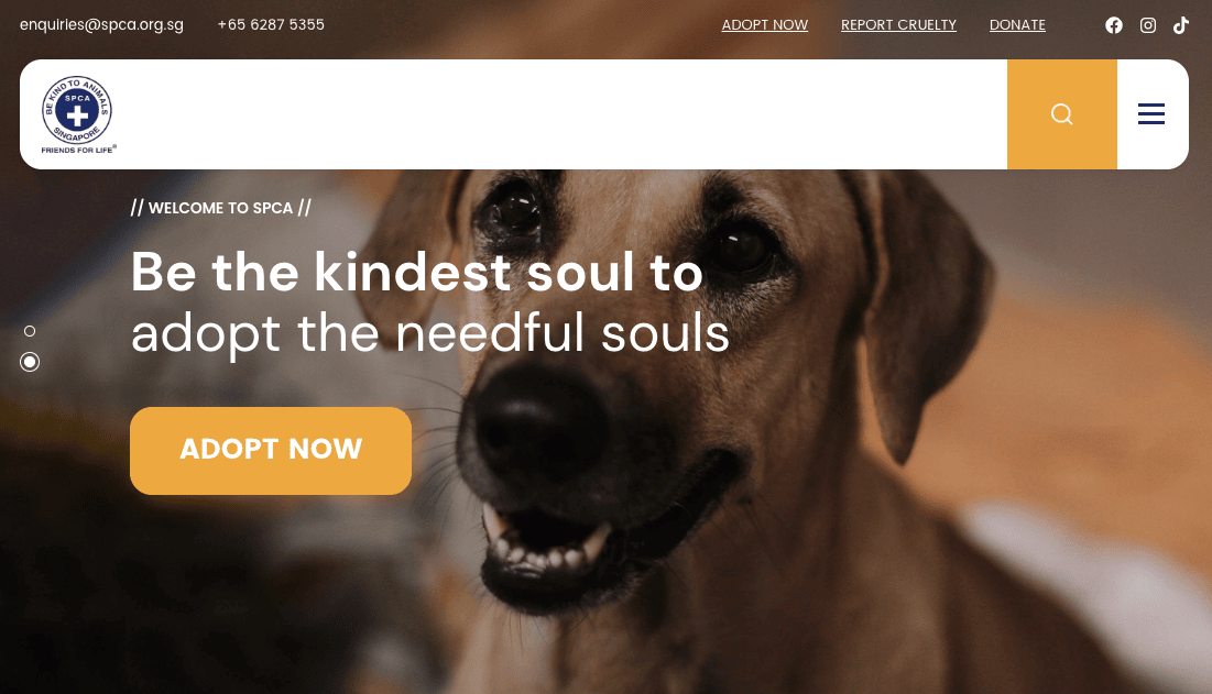 7 Best Pet Adoptions In SG For Aspiring Fur-parents