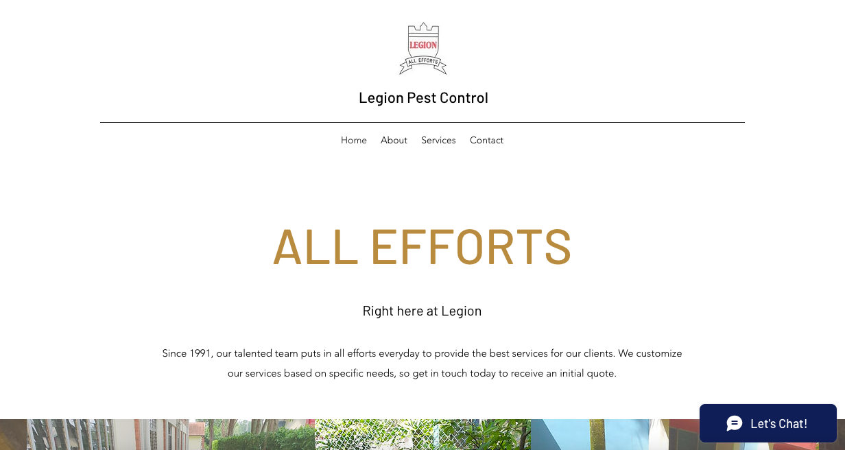 8 Best Termite Pest Control In SG For Worried Women